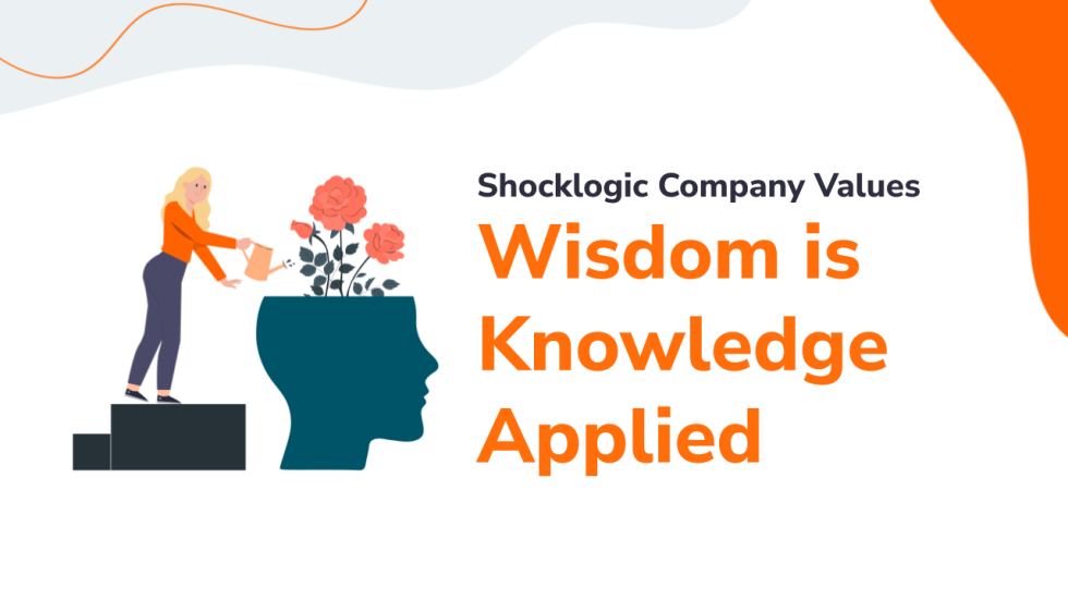 Shocklogic Values: Wisdom is Knowledge Applied